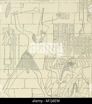 'The History of Egypt' covers Egypt’s history from ancient times up ...