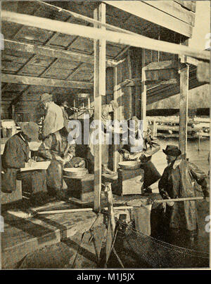 A manual of fish-culture, based on the methods of the United States ...