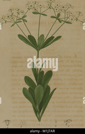 'American Medical Botany' provides detailed descriptions of native ...