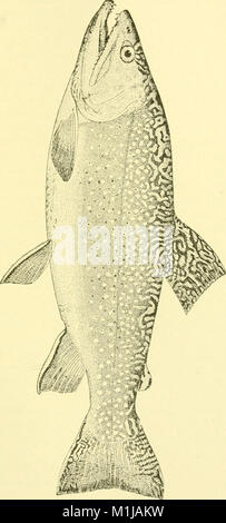This 1892 guide provides insights into American game fish species ...