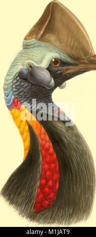 A Monograph of the Genus Casuarius (1900) is a detailed scientific ...