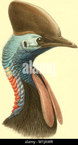 'A Monograph of the Genus Casuarius' (1900) provides a comprehensive ...
