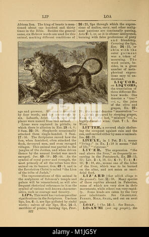 'A Dictionary of the Bible' (1887) provides comprehensive definitions ...