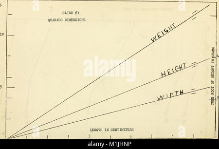 Addresses delivered at the Convention of the National Shellfisheries ...