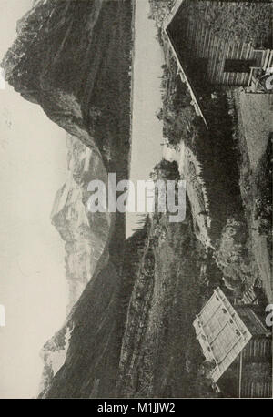 'American Forestry' from 1910 to 1923 covers the development of ...