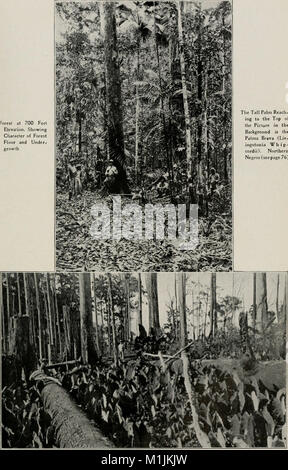 'American Forestry' (1910-1923) discusses the practices and ...