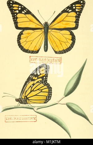 This 1824 work provides detailed descriptions of North American insects ...