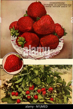 This guide to fruit cultivation in America covers techniques for ...