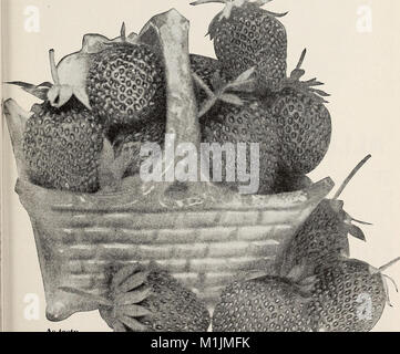 *Allen's Book of Berries* (1940) provides a detailed guide to the ...