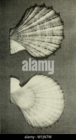 The Allan Hancock Pacific Expeditions (1959) reports detail the ...