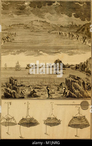 This work discusses fishing practices and the history of fish ...