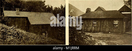 'American Homes and Gardens' (1908) showcases the architecture, design ...