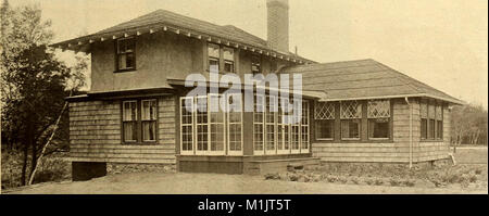 'American Homes and Gardens' (1910) showcases American domestic ...