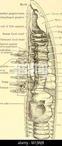 'Animal Biology' (1938) provides an overview of the biological ...