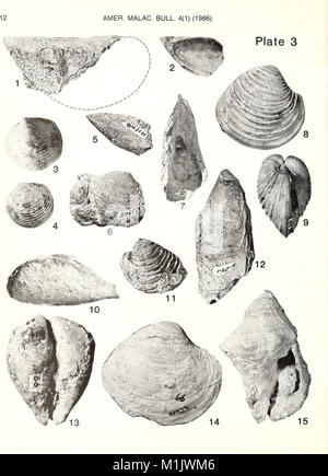 The 1986 American Malacological Bulletin publishes research on ...