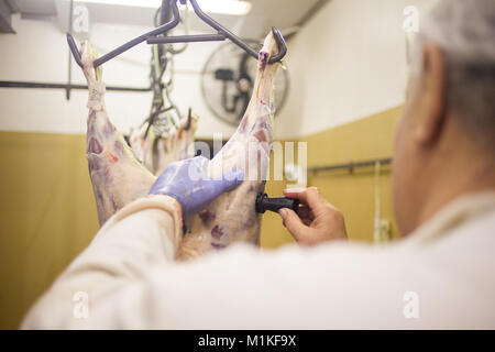 Meat stamp on carcass Stock Photo - Alamy