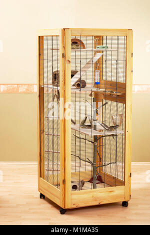 Siberian chipmunk in cage Stock Photo - Alamy