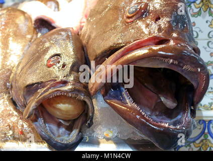 Cherne negra (black wreckfish) on sale in market in Tenerife, Canary ...