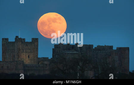 A blue moon rises over Bamburgh Castle in Northumberland Stock Photo ...