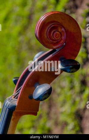 Cello handle with green lawn on background Stock Photo - Alamy