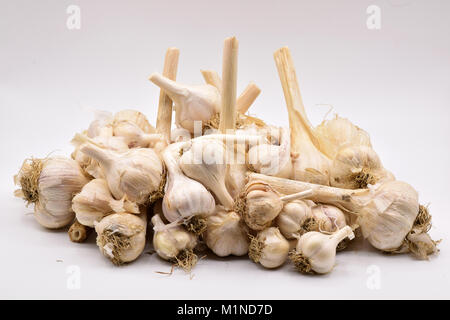 Delicious garlic bulbs with long stems arranged on a seamless white ...