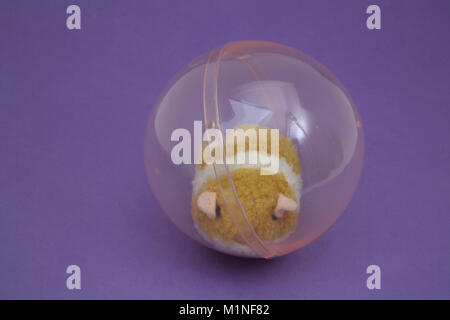 Battery Powered Toy Hamster And Ball Stock Photo - Alamy