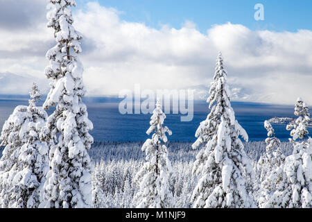 Snowy day. Landscape. Nature Stock Photo - Alamy