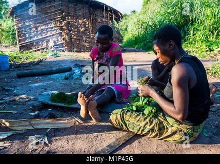 Central African Pygmies Stock Photo - Alamy