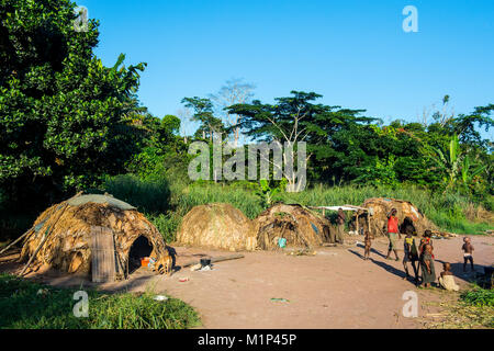 Pygmy village in the remote central African rainforest of northeast ...