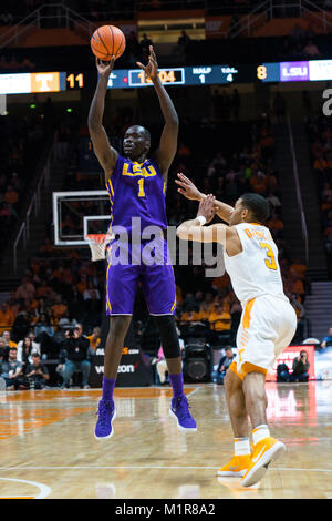 January 31, 2018: Duop Reath #1 of the LSU Tigers shoots a free throw ...
