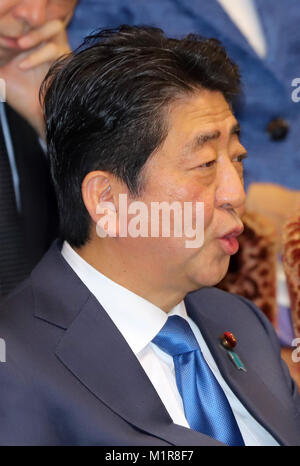 Tokyo, Japan. 31st Jan, 2018. Japan's pop duo Every Little Thing ...