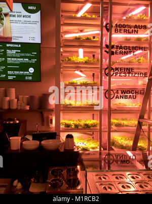 Berlin, Germany. 6th Jan, 2018. German President Frank-Walter ...