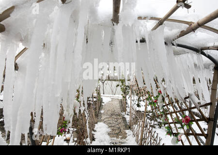 Wuxi, Wuxi, China. 1st Feb, 2018. Wuxi, CHINA-1st February 2018: Chen ...