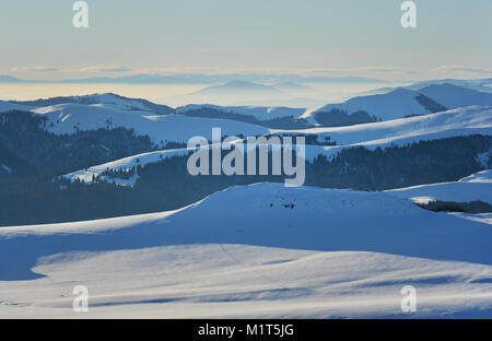 Beautiful winter view at 2000m altitude in Bucegi Mountains in Sinaia ...