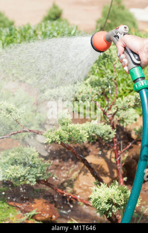 Close up green garden hose Stock Photo - Alamy