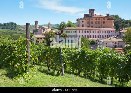 Vineyard on the hills of Barolo, Piedmont - Italy Stock Photo - Alamy