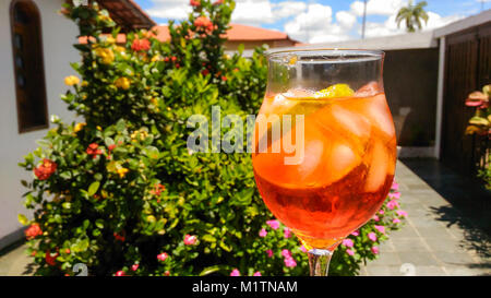 Aperol drink near a beautiful green tree Stock Photo - Alamy