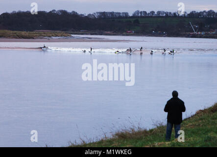 The Severn tidal Bore on the River Severn at Minsterworth ...