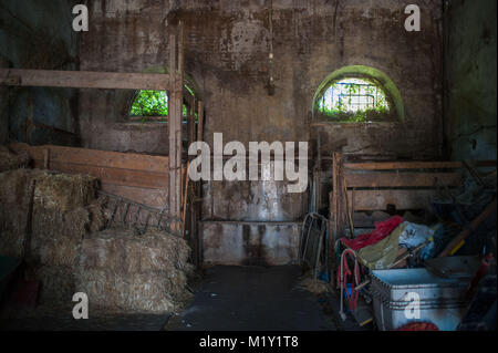 Rome. Italy. Horses stables in Campo Boario Stock Photo - Alamy