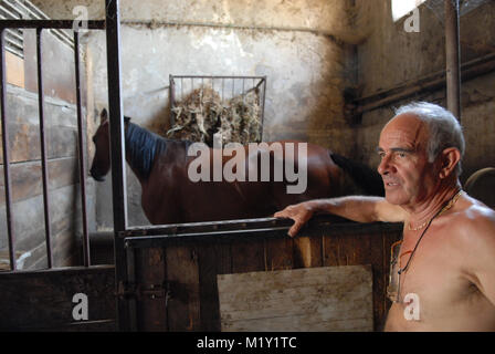 Rome. Italy. Horses stables in Campo Boario Stock Photo - Alamy