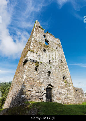 The 16th century tower-house known as Ballinacarriga Castle, between ...