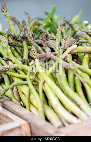 asparagus in boxes Stock Photo - Alamy