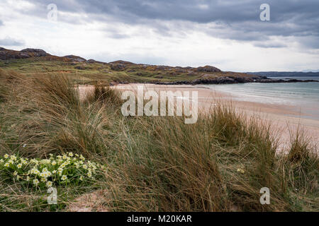 Polin beach, Scotland. UK Stock Photo - Alamy