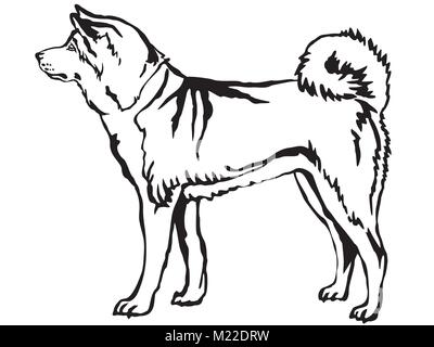 Decorative outline portrait of Dog Japanese Spitz, vector illustration ...