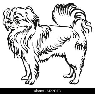 Decorative outline portrait of Dog Japanese Spitz, vector illustration ...