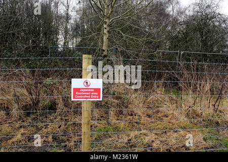 Warning sign for Japanese Knotweed infestation Stock Photo - Alamy