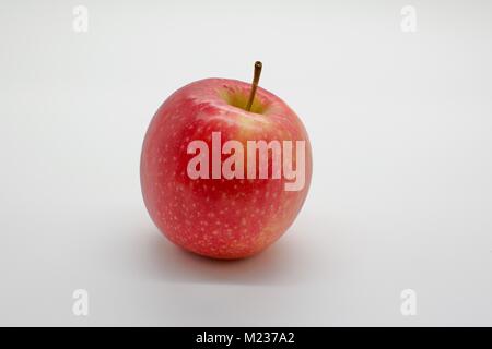 Single rosy red Jazz apple on a plain white background, UK Stock Photo ...