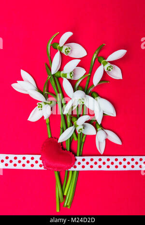 Fresh snowdrops bouquet and a heart shape on blue background Stock ...