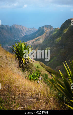 Breathtaking view of a verdant mountain range adorned with abundant ...