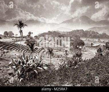 c. 1880s Ceylon - rice paddy fields, terraces, near Badulla. Scowen ...